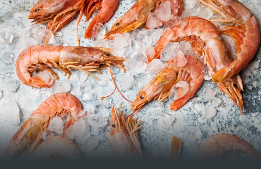 Shrimp-HOSO-Head On Shell On | Impex Universe